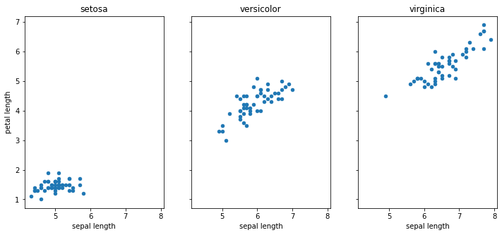 Documentation with Quarto – Quarto Basic